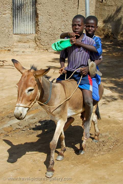 Pictures of Mali - Djenne-0033 - boys riding a a donkey